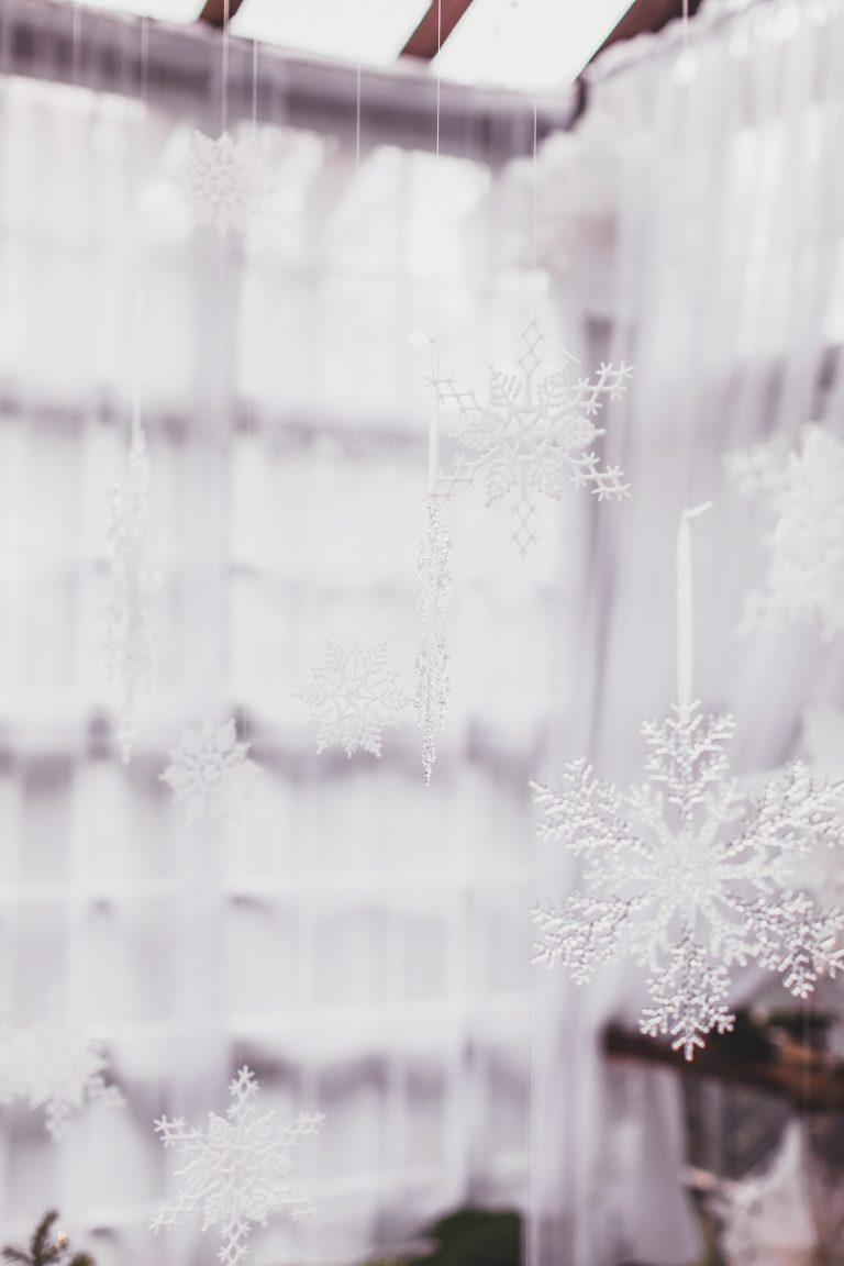 Christmas Mini Session Setup Inspiration | Micro, Small, Intimate, Tiny ...
