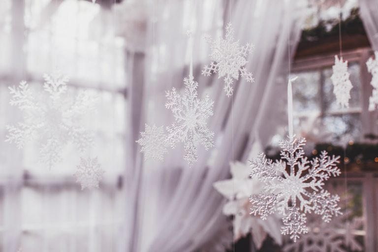 Christmas Mini Session Setup Inspiration | Micro, Small, Intimate, Tiny ...