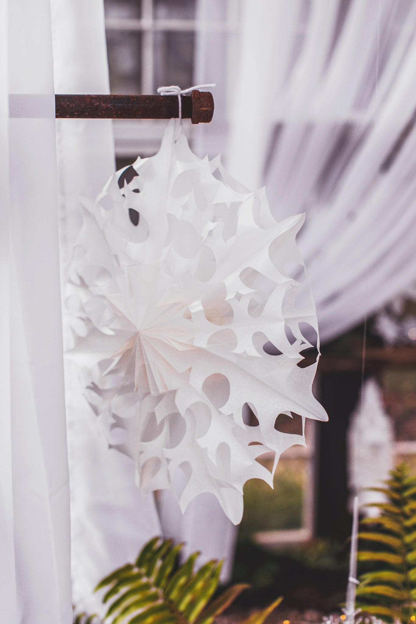 Christmas Mini Session Setup Inspiration | Micro, Small, Intimate, Tiny ...