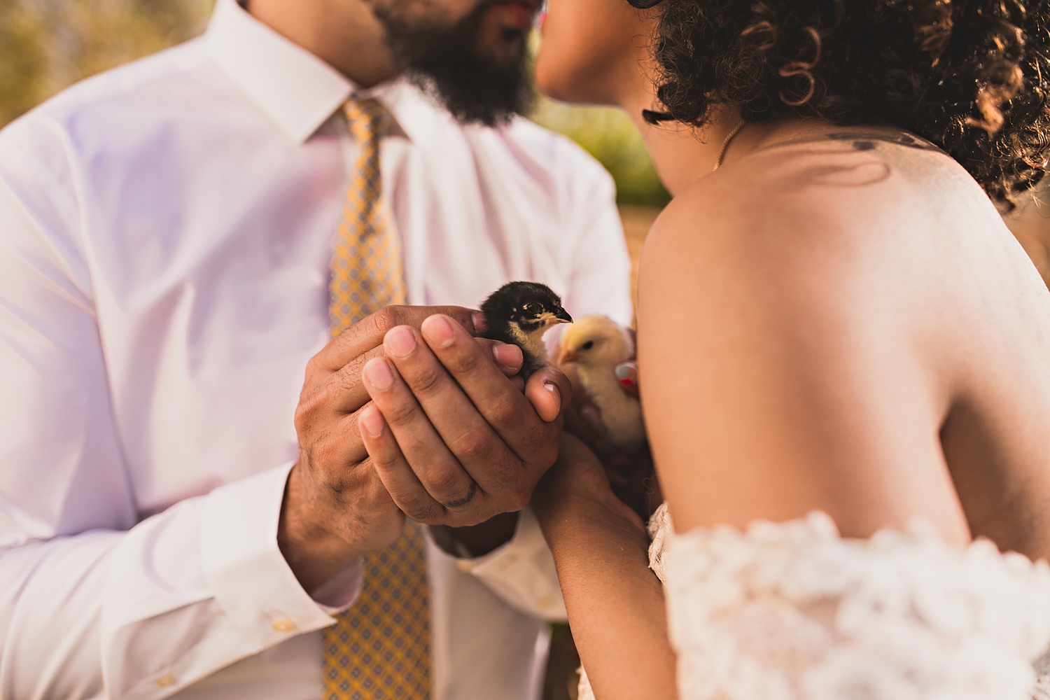 Cutest Coops | Bride & Groom Chicken Styled Shoot | Micro, Small ...