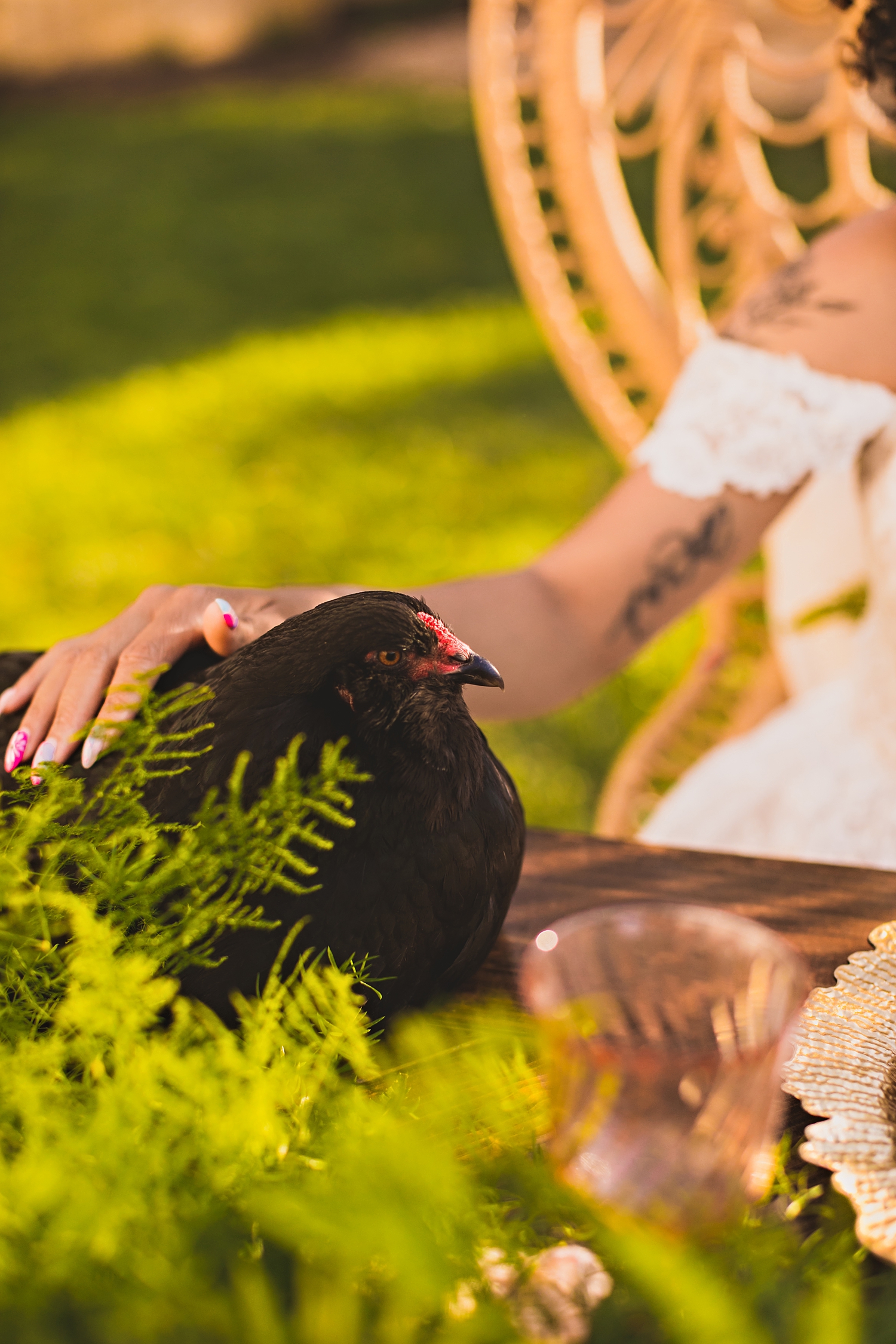 Cutest Coops | Bride & Groom Chicken Styled Shoot | Micro, Small ...