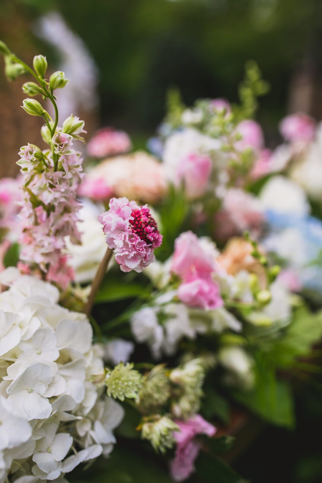 Spring Proposal Inspo | Greenhouse Venue | Virginia