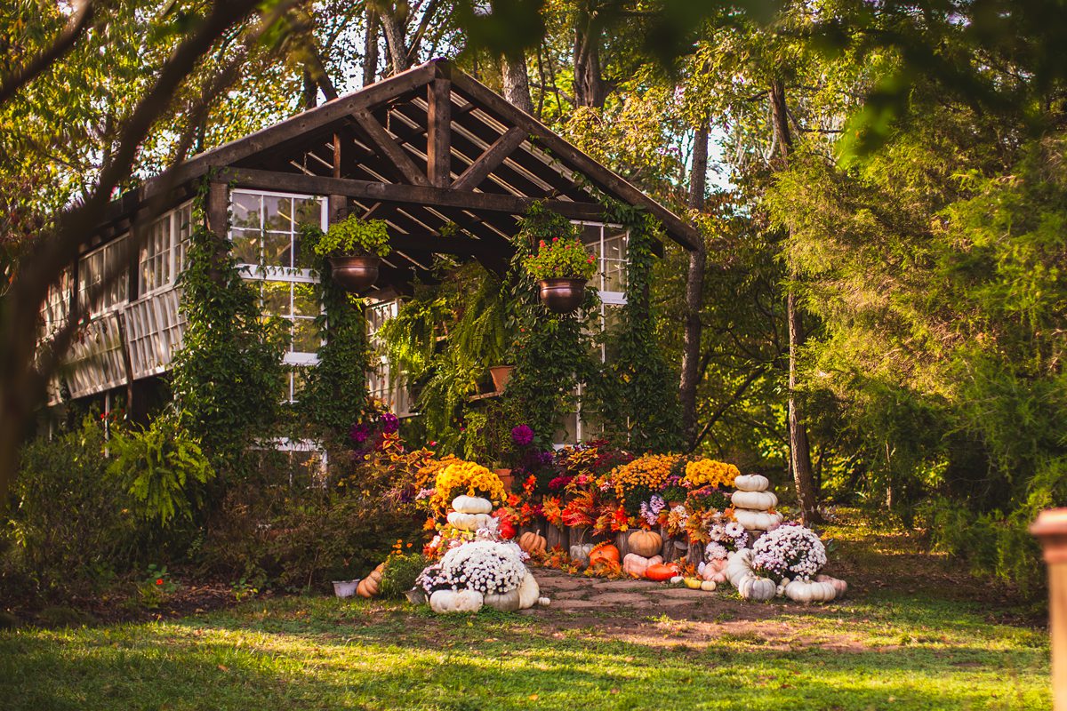 Micro, Small, Intimate, Tiny Wedding Venue | Virginia
